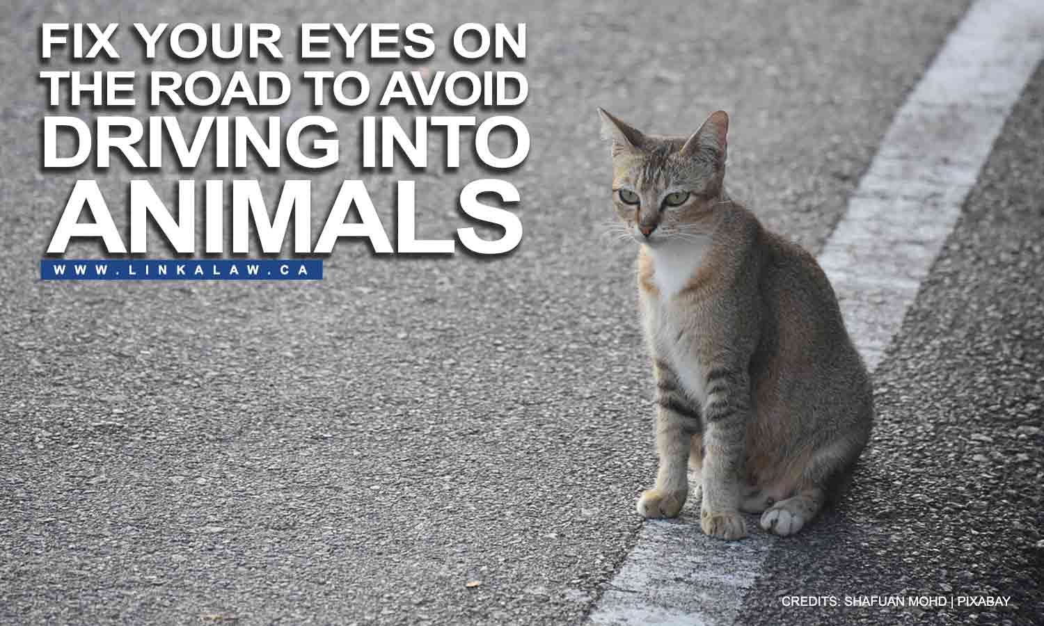 15 Spring/Summer Road Safety Tips to Avoid Car Accidents - Michelle ...