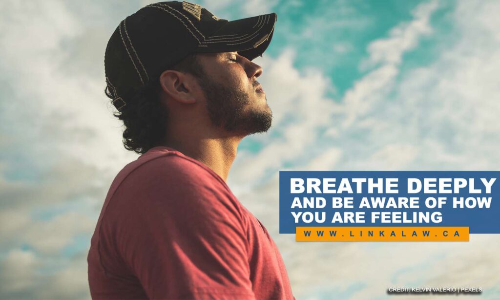 Best Mindfulness Practices To Observe While Driving - Michelle Linka ...